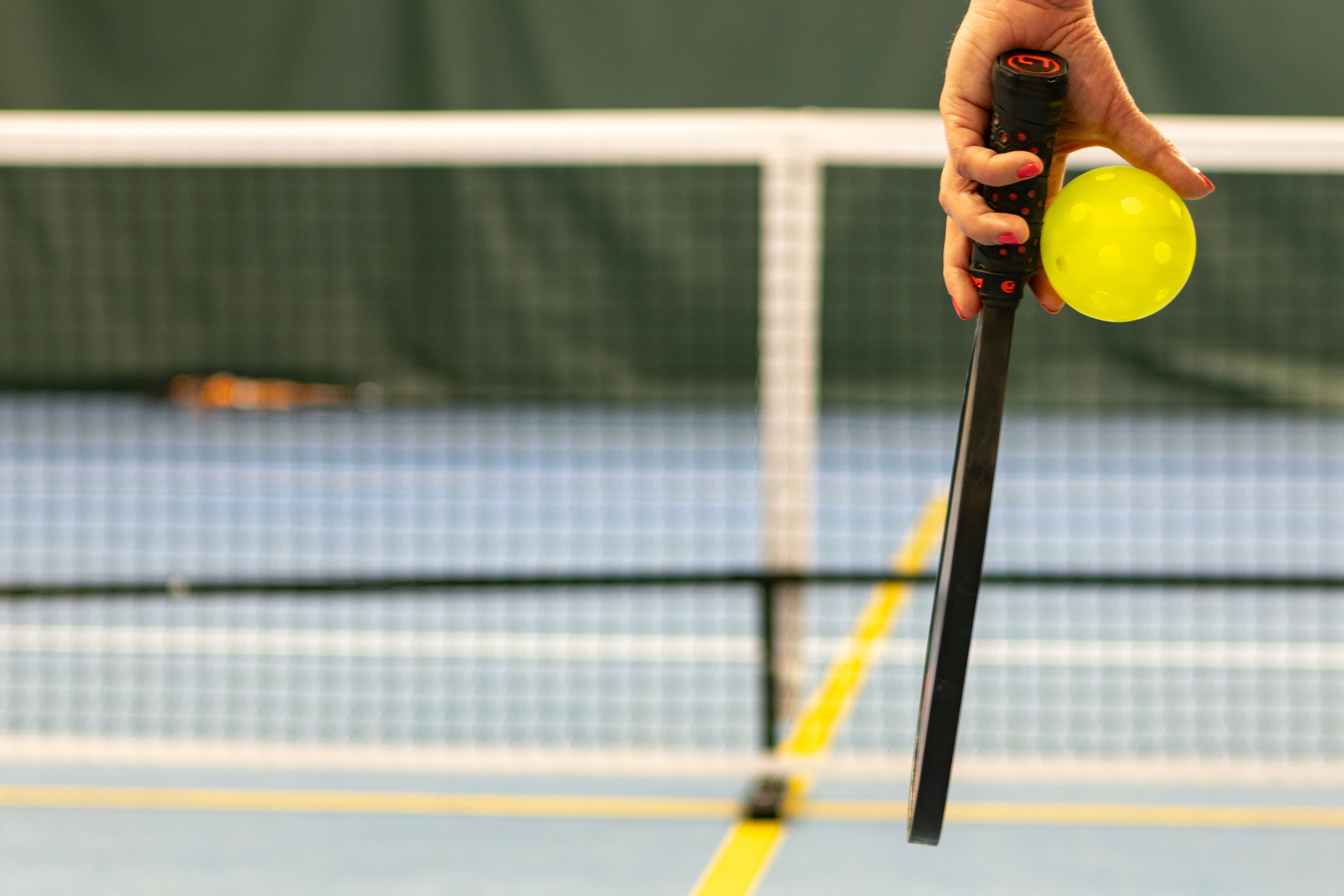 Introduction to Pickleball: History and Basics | PicklePro Gear